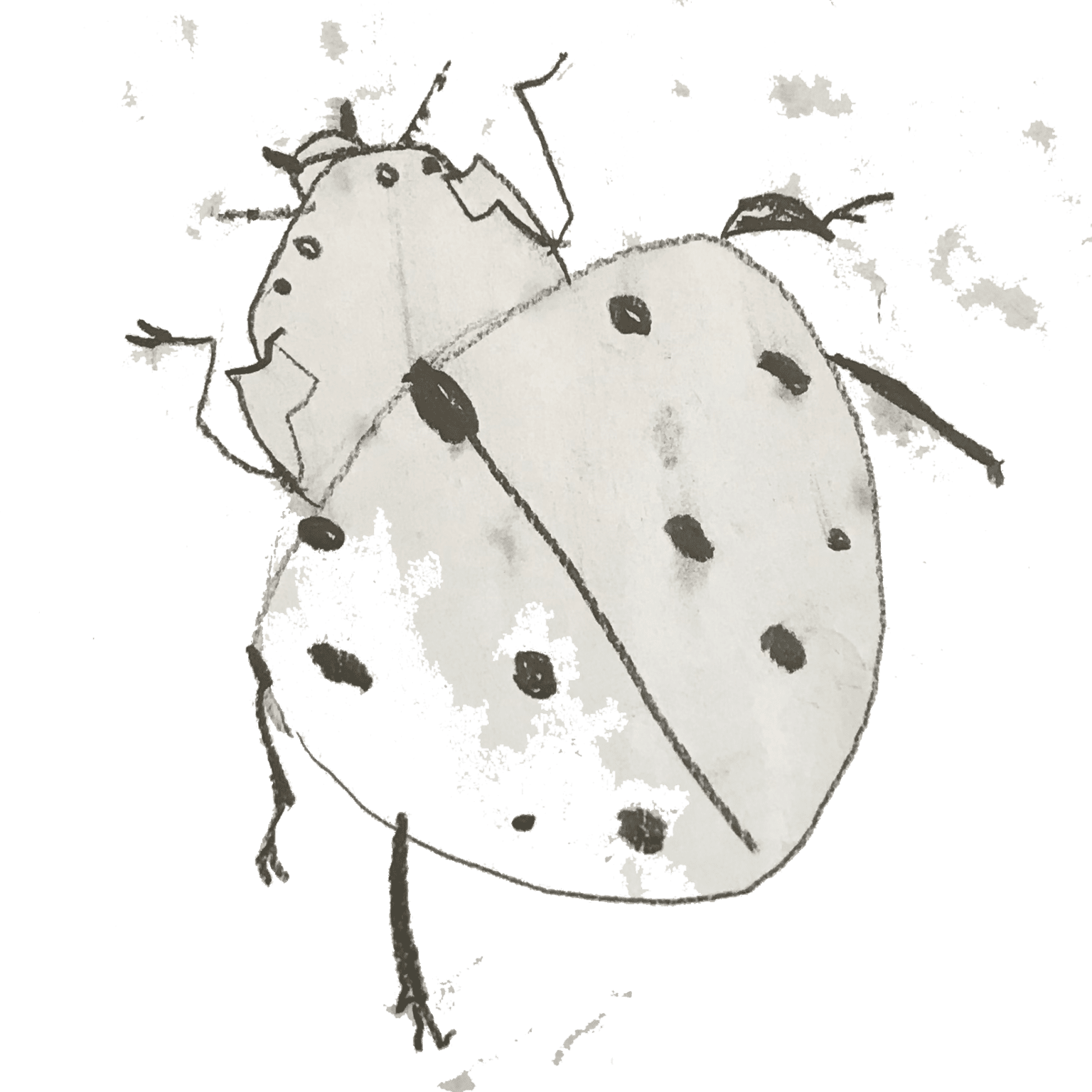 Créer une cour d'école oasis : méthodologie pour guider le projet