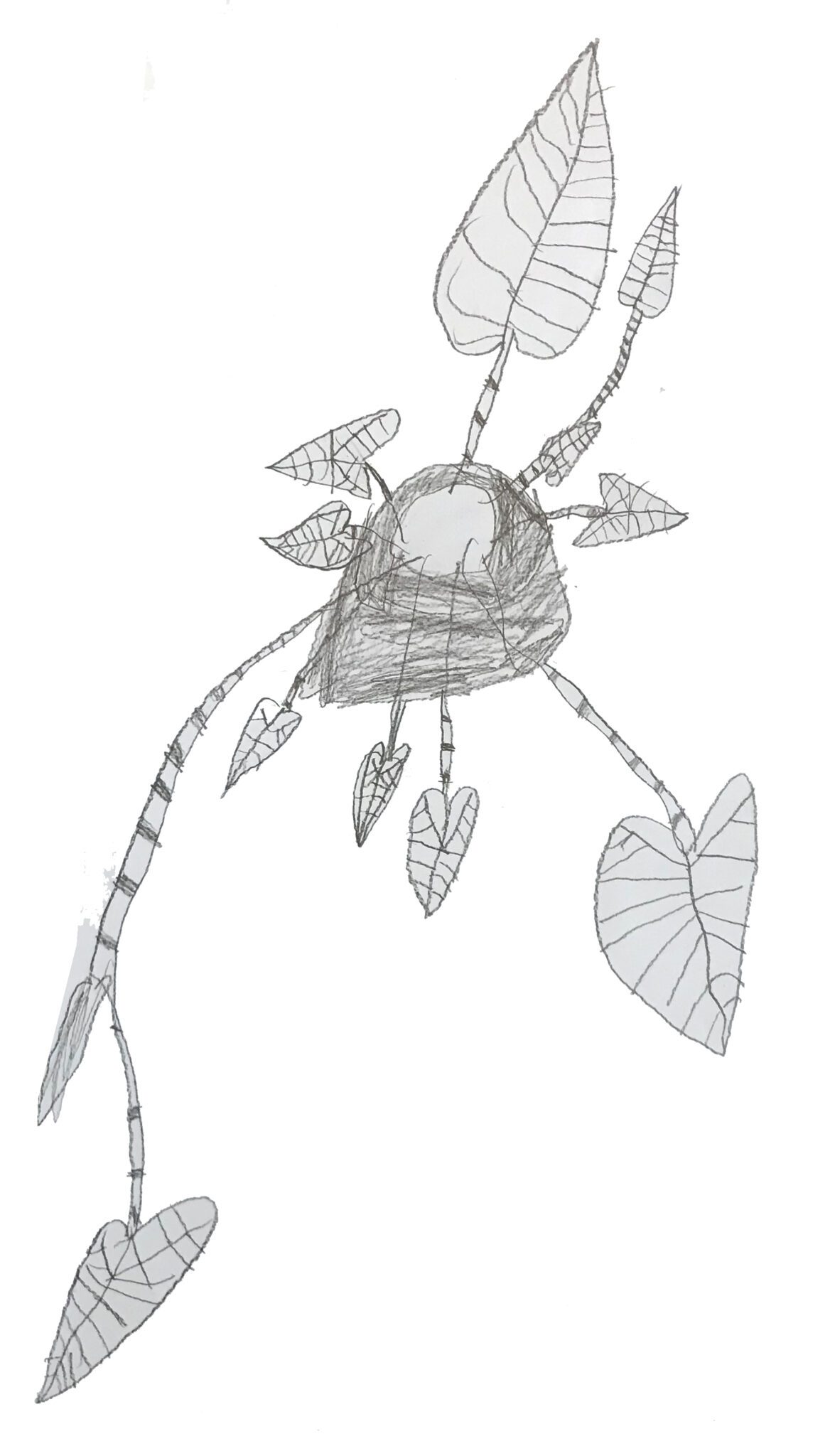 Créer une cour d'école oasis : méthodologie pour guider le projet